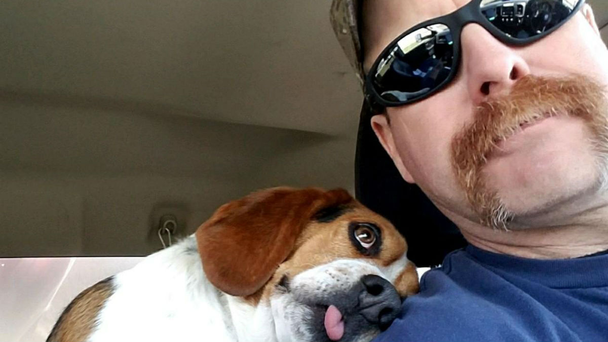 ‘Why We Rescue’: Photo of Death Row Dog’s ‘Freedom Ride’ Goes Viral ...