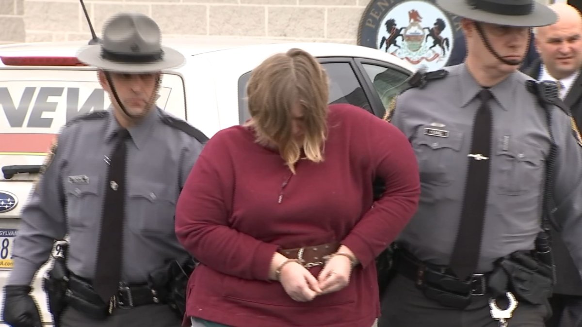 Insanity Defense Planned for Pennsylvania Mother Charged in Kids ...