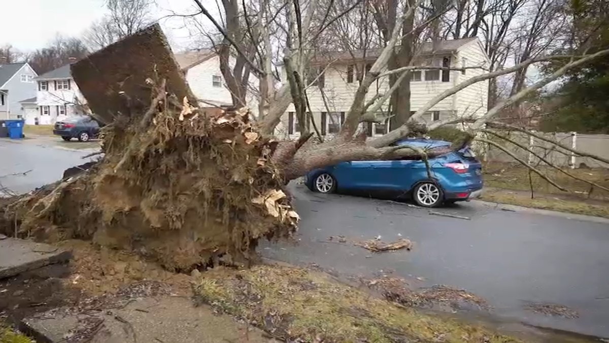 Severe Storms, High Winds Wreak Havoc in Delaware – NBC10 Philadelphia