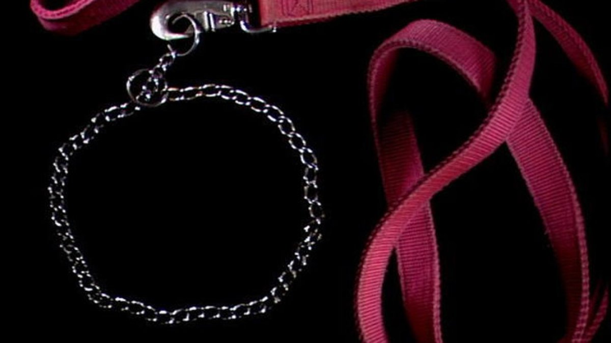 Pa. official April Sloane pleads guilty in dog’s death – NBC10 Philadelphia