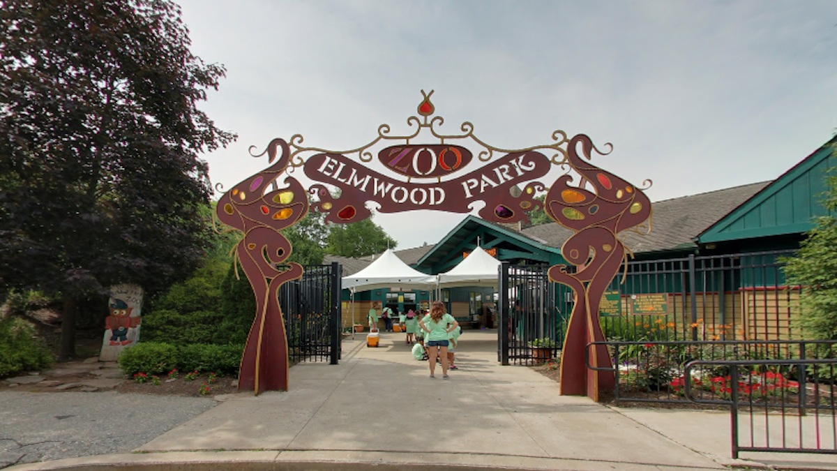 Elmwood Park Zoo offering free admission on Memorial Day – NBC10 ...
