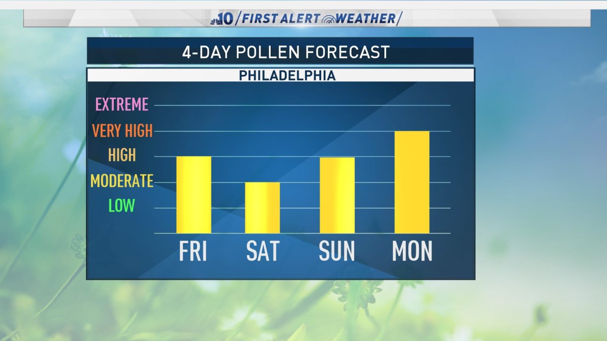 Seasonal Allergies Will Be Bad This Week. Deciphering the Symptoms ...