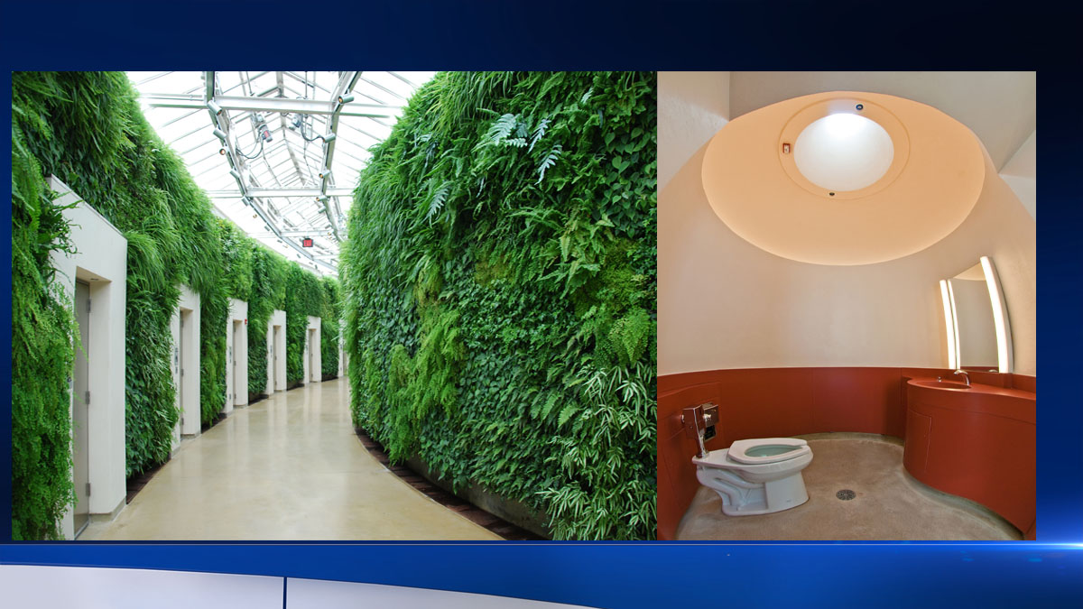 Longwood Gardens Boasts ‘Best Restroom’ in America – NBC10 Philadelphia