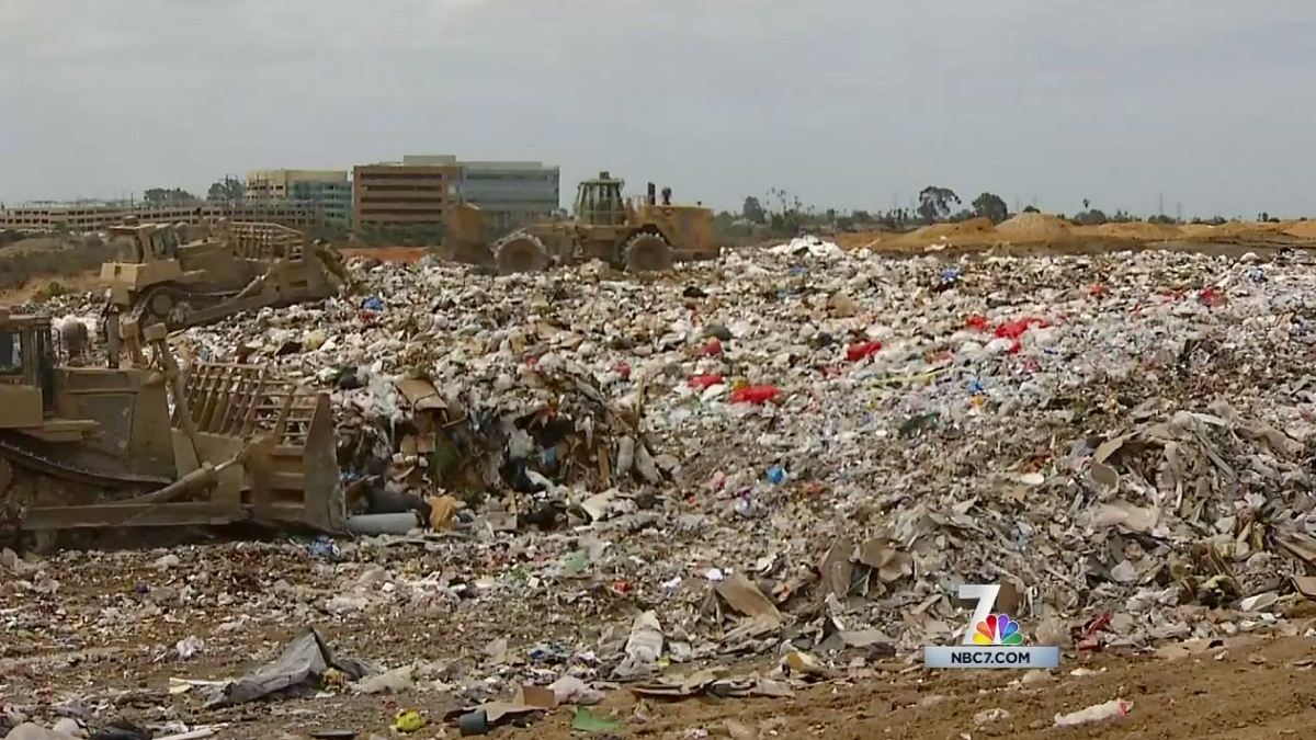 ‘Giant Cage’ Being Installed to Save Birds from Invisible Landfill ...