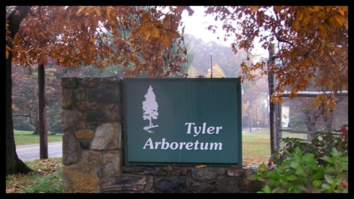 Spotlight! Fort Tyler – NBC10 Philadelphia