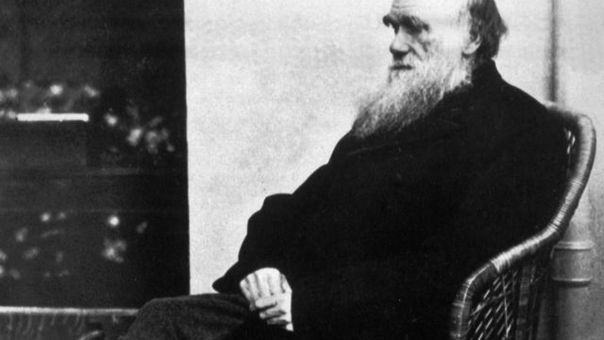 Rare Charles Darwin Signed Manuscript Set to Break Record at Auction ...