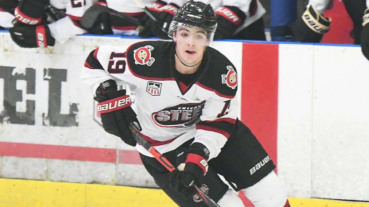 2020 NHL Draft Profile: Brendan Brisson Has ‘the Quickness, the Skill ...