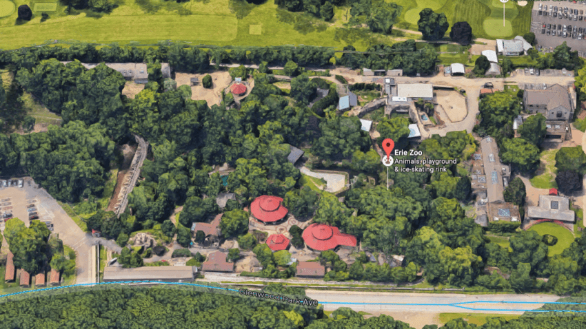 Erie Zoo Eyes New Lion Exhibit, Bears – NBC10 Philadelphia