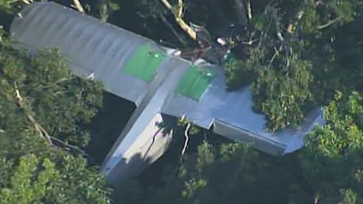 Small Plane Stuck in Tree After Crash – NBC10 Philadelphia