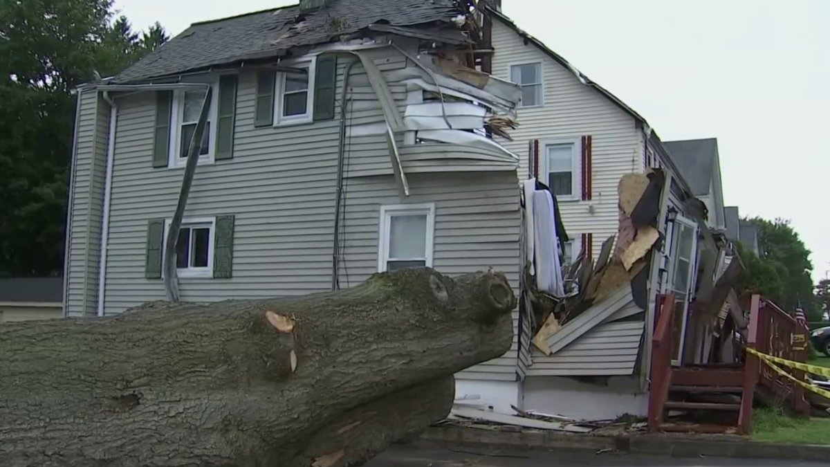 NJ Father Frees Daughter After Tree Crushes Home During Isaias ...