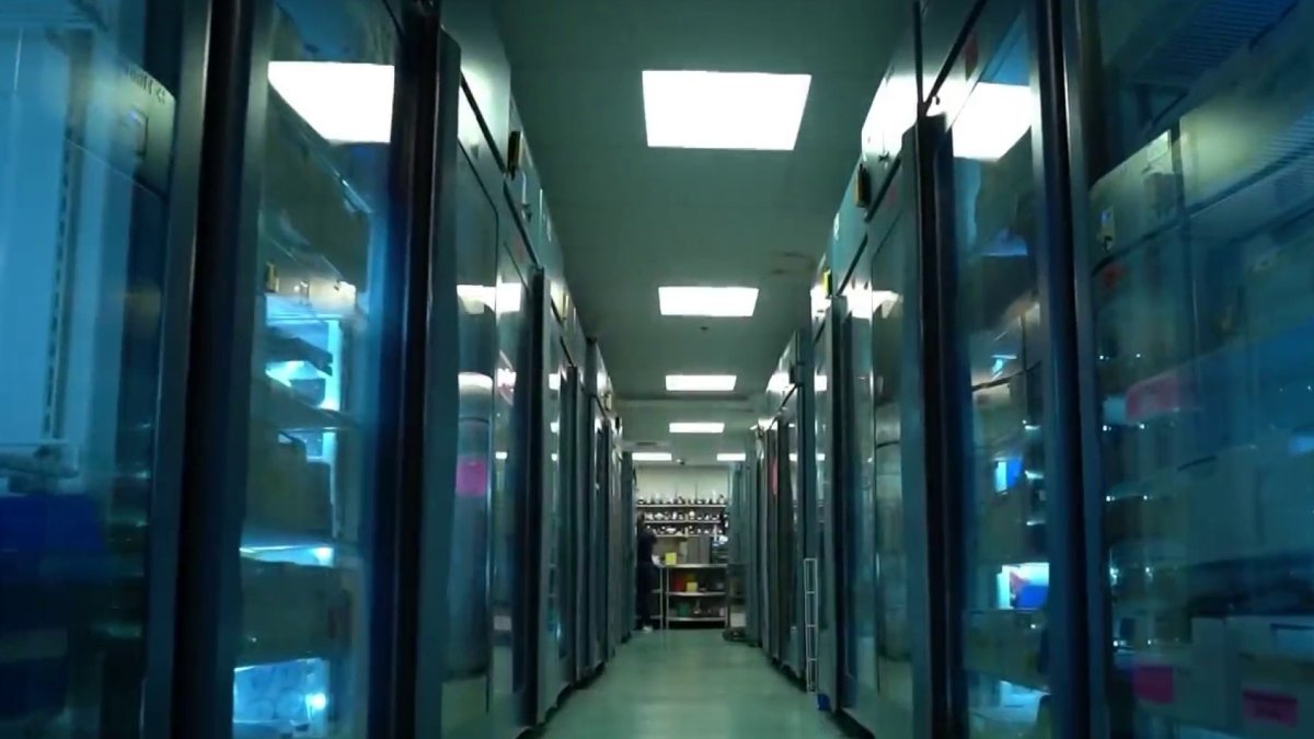 Dr. Baskies Talks About Promising Coronavirus Vaccine News – NBC10 ...