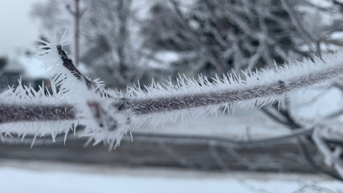 What Is Rime Ice? See the Cool Formations Popping Up in the Midwest ...