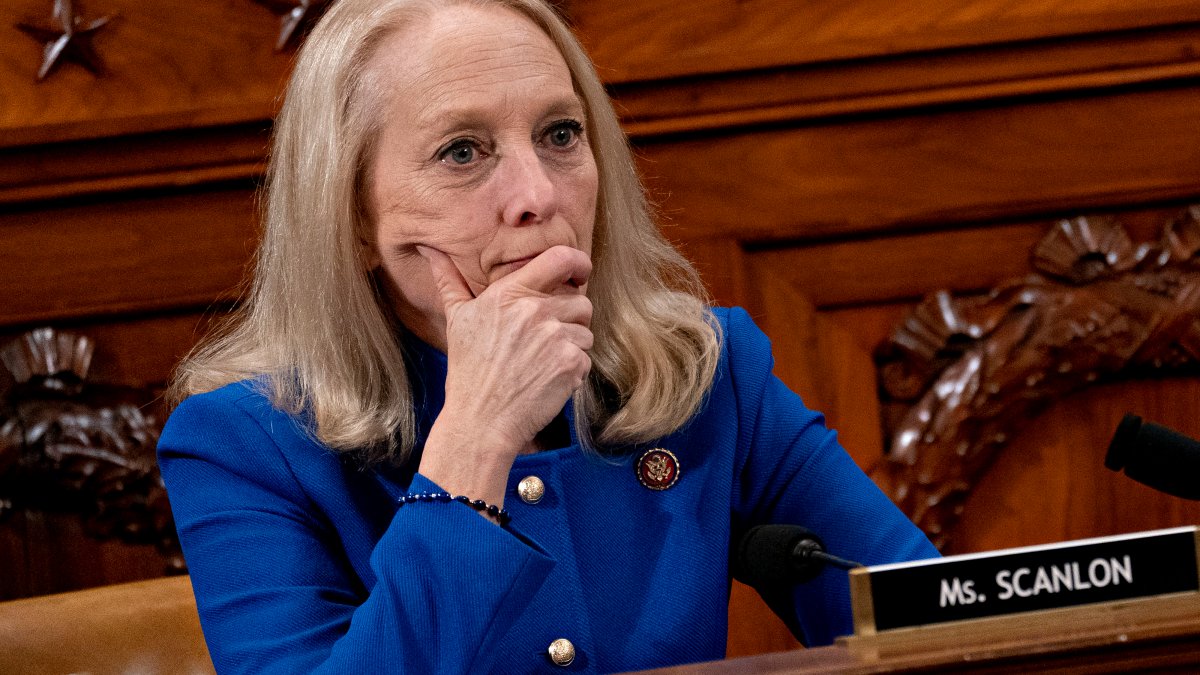 Pennsylvania U.S. Rep. Mary Gay Scanlon Carjacked in South Philadelphia ...