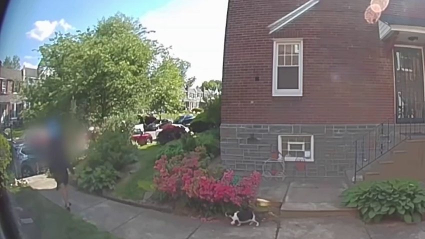 Local – Page 17 – NBC10 Philadelphia