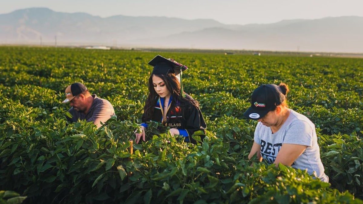 College Senior Honors Farm-Worker Parents With Graduation Photos in ...