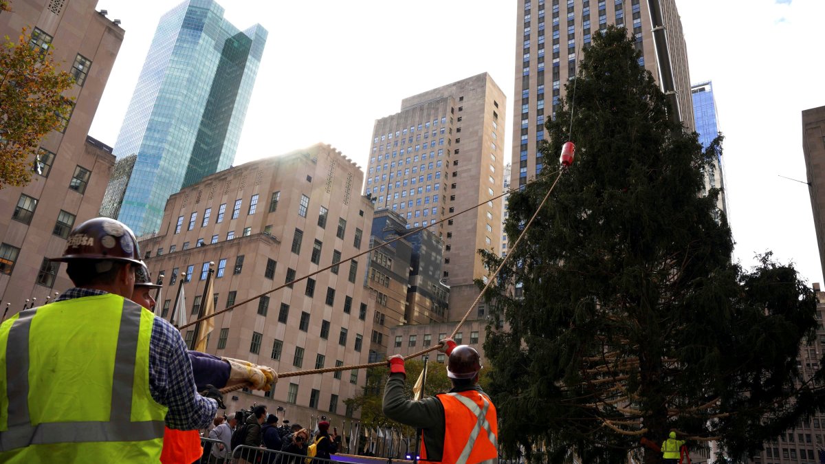 Rockefeller Center Tree: Christmas Spruce Arrives in NYC – NBC10 ...
