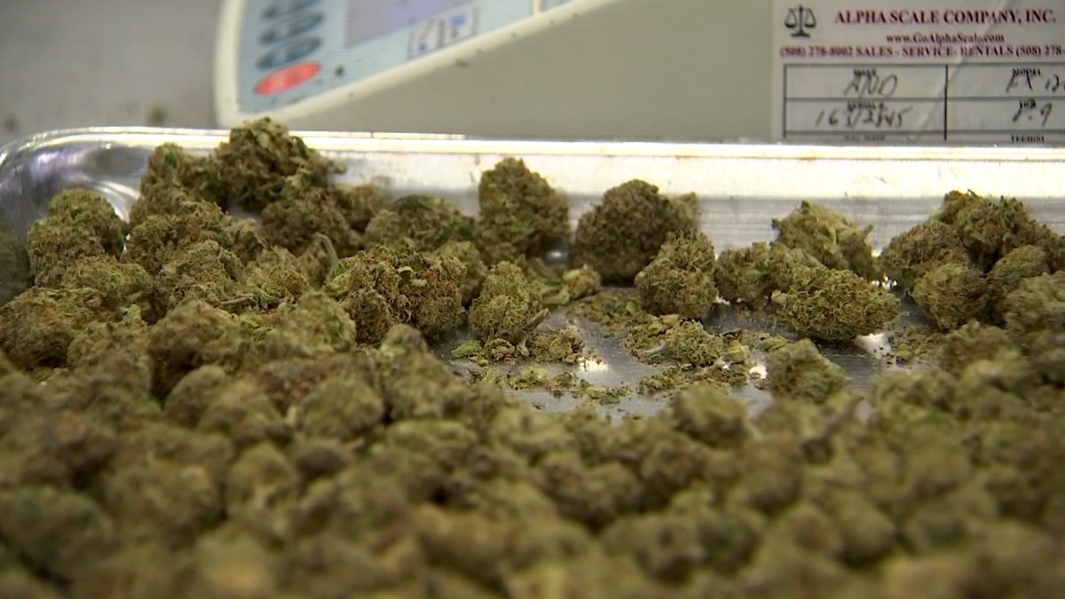Recreational marijuana sales to begin in Delaware in August – NBC10 ...