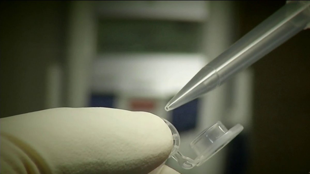 Scientists Investigate ‘The Boricua Gene’ Impacting Puerto Rican ...