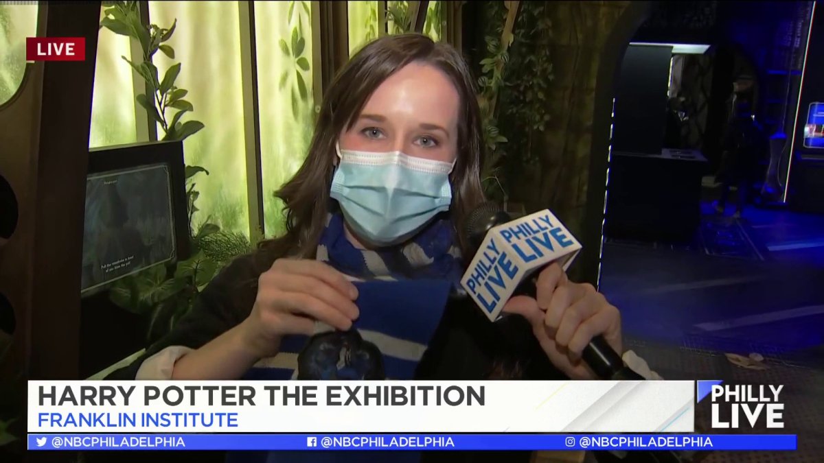 Sheila Watko Gives You a 1st Look at ‘Harry Potter: The Exhibition’ in ...