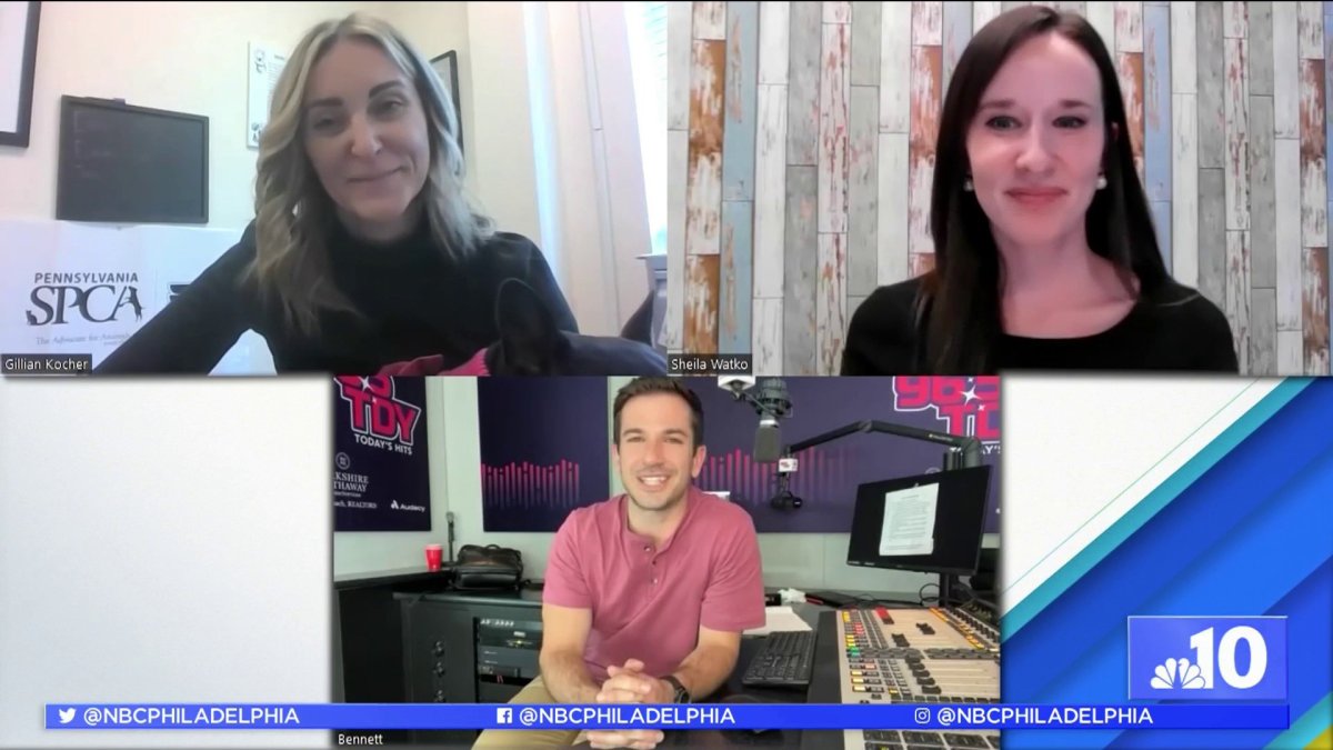 ‘Swifties’ Sheila Watko, Bennett Dish on Taylor Swift Trivia for a Good ...
