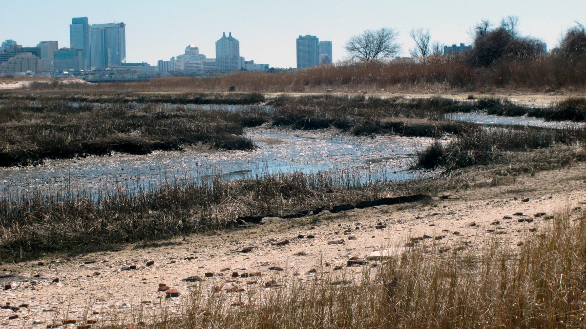 NJ Spending $21M on Projects to Fight Climate Change – NBC10 Philadelphia