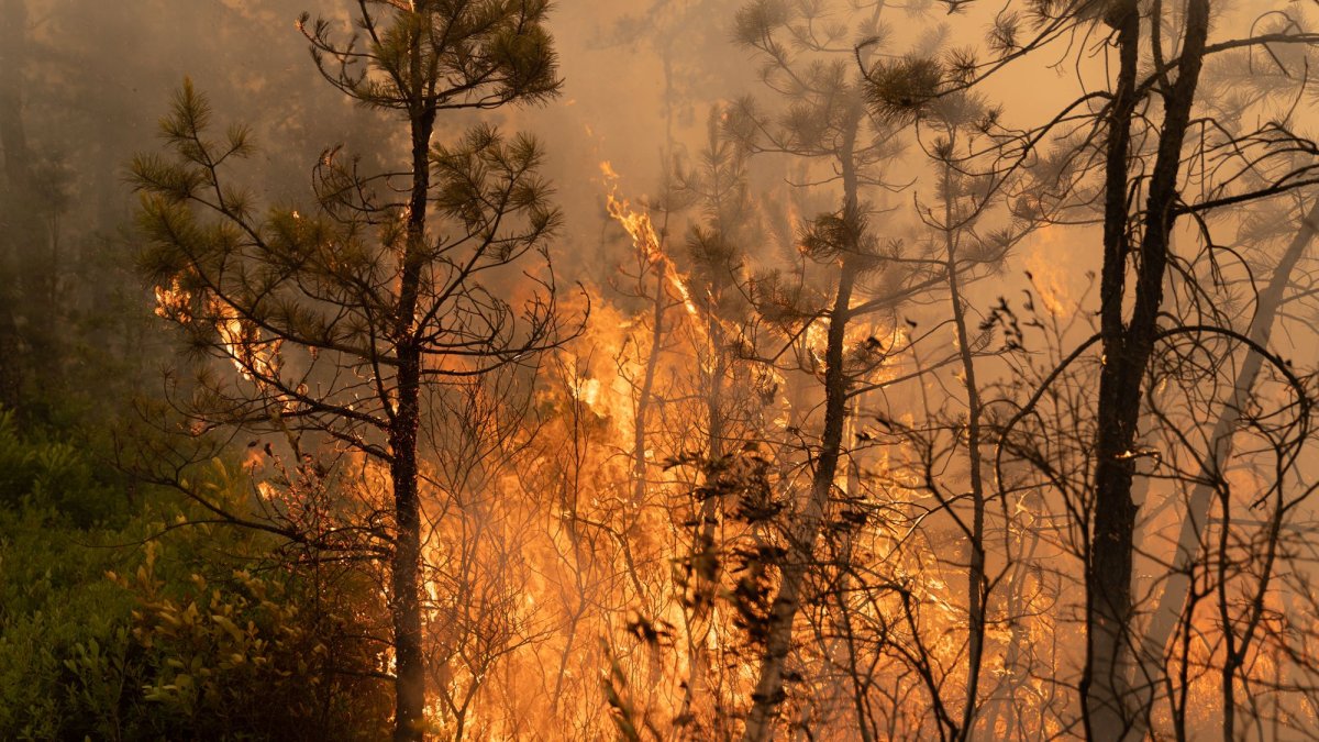 Photos: Massive NJ Wildfire is State’s 2nd Largest Since 2007 – NBC10 ...