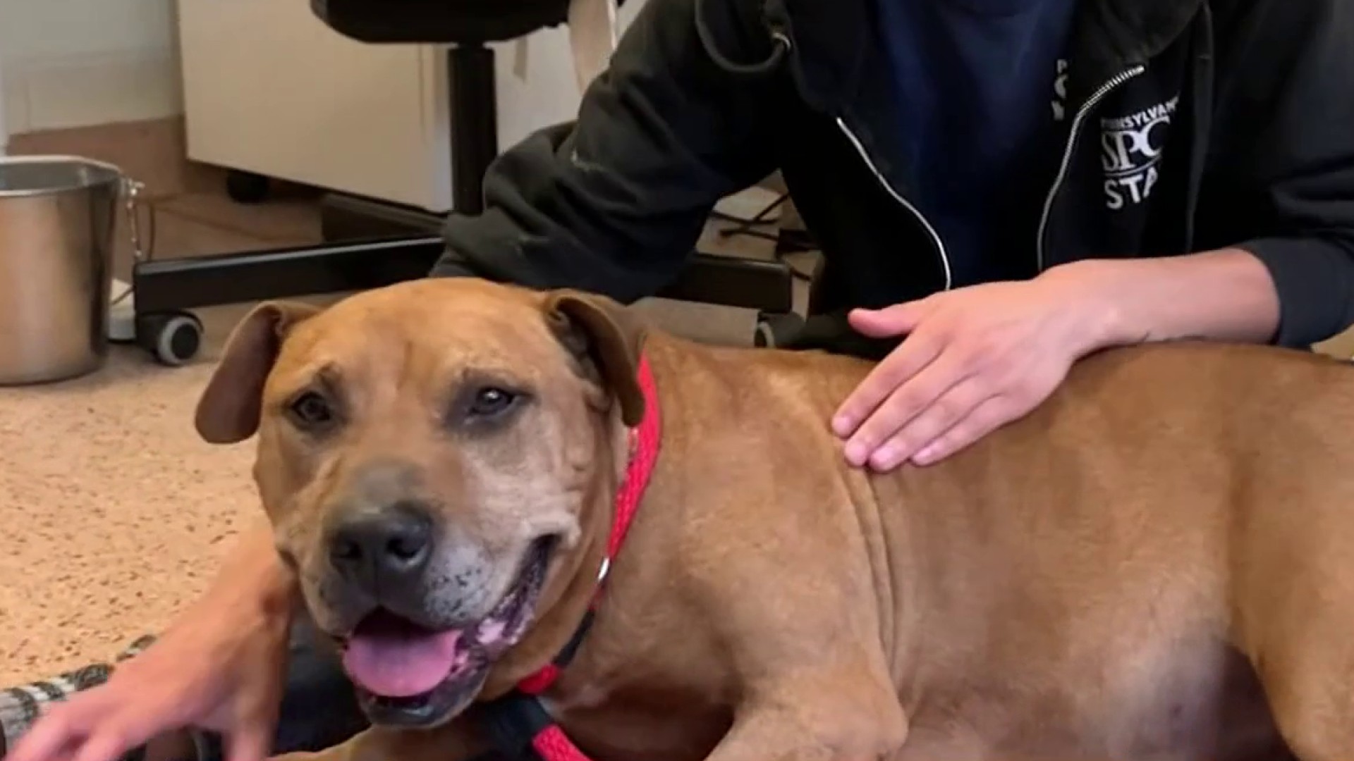 10 Questions: Urban Outfitters CEO Richard Hayne – NBC10 Philadelphia