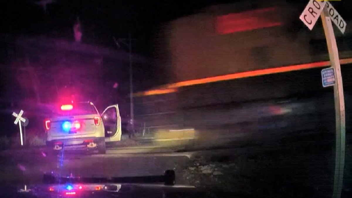 Video Shows Train Slamming Into Police Vehicle With Handcuffed Woman ...