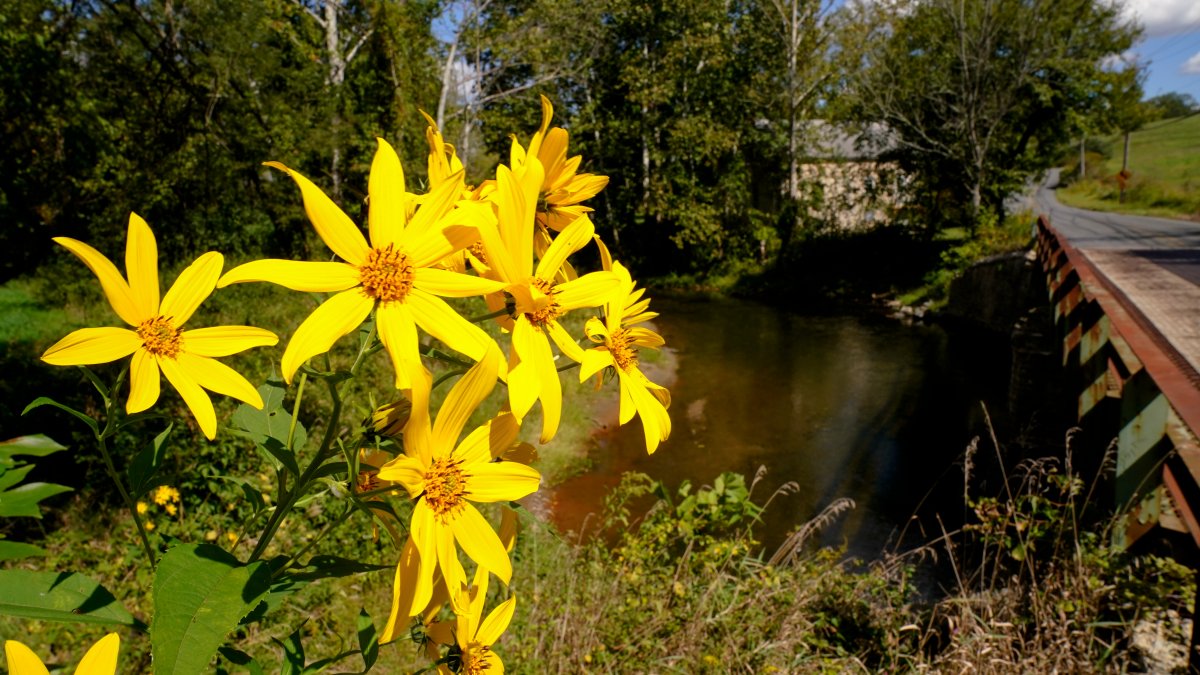 Find Out Where in Chester County PA Is Making 1 of 3 New State Parks ...