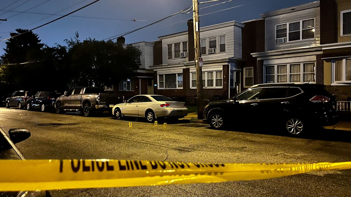 Teryn Johnson, 17, Shot Dead While Walking Dog in Philadelphia – NBC10 ...