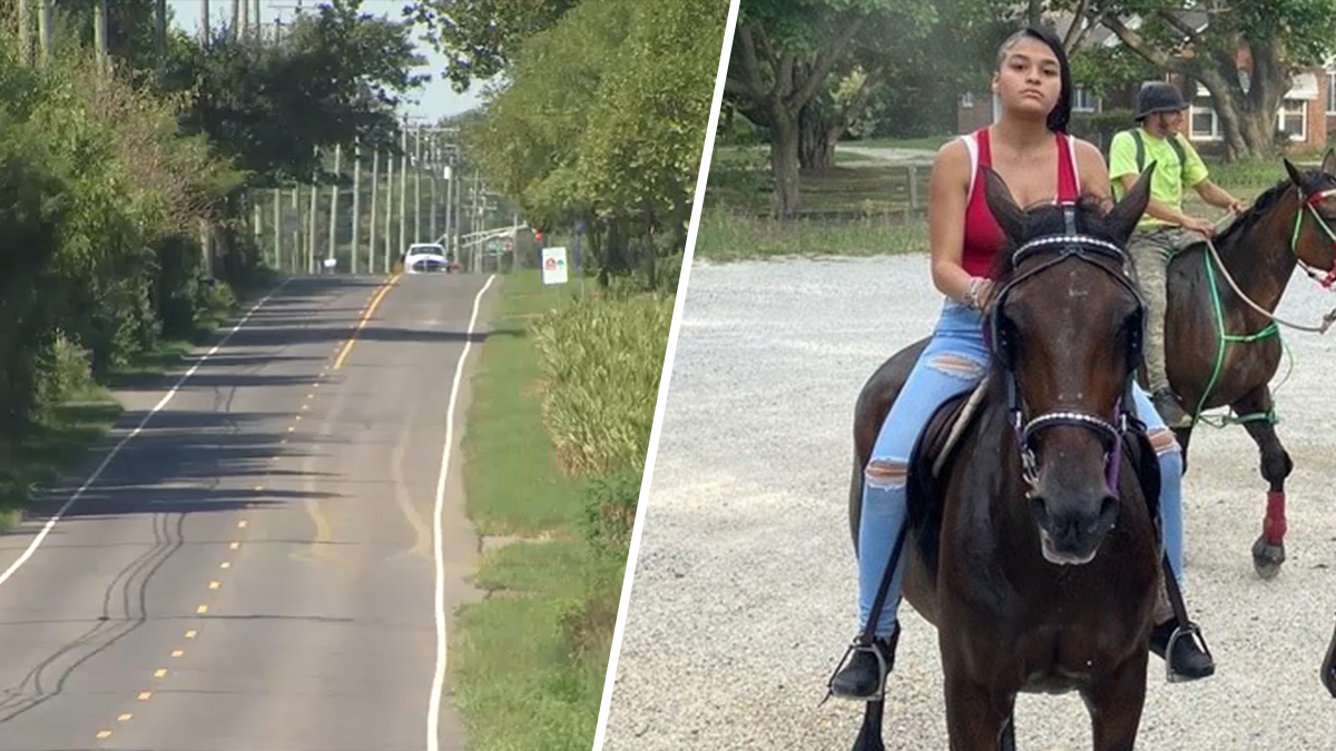 Horse Killed, Teen Rider Hospitalized in NJ Hit-and-Run Crash – NBC10 ...