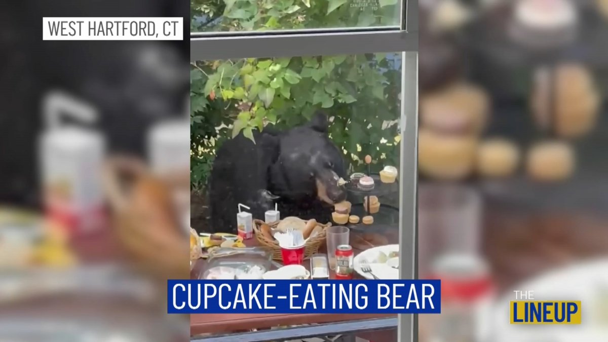 Bear Crashes Birthday Party: The Lineup – NBC10 Philadelphia