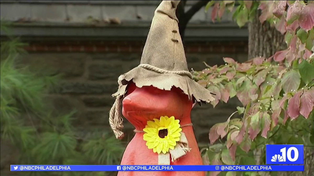 Boo at the Zoo Is Back for Spooky Season – NBC10 Philadelphia