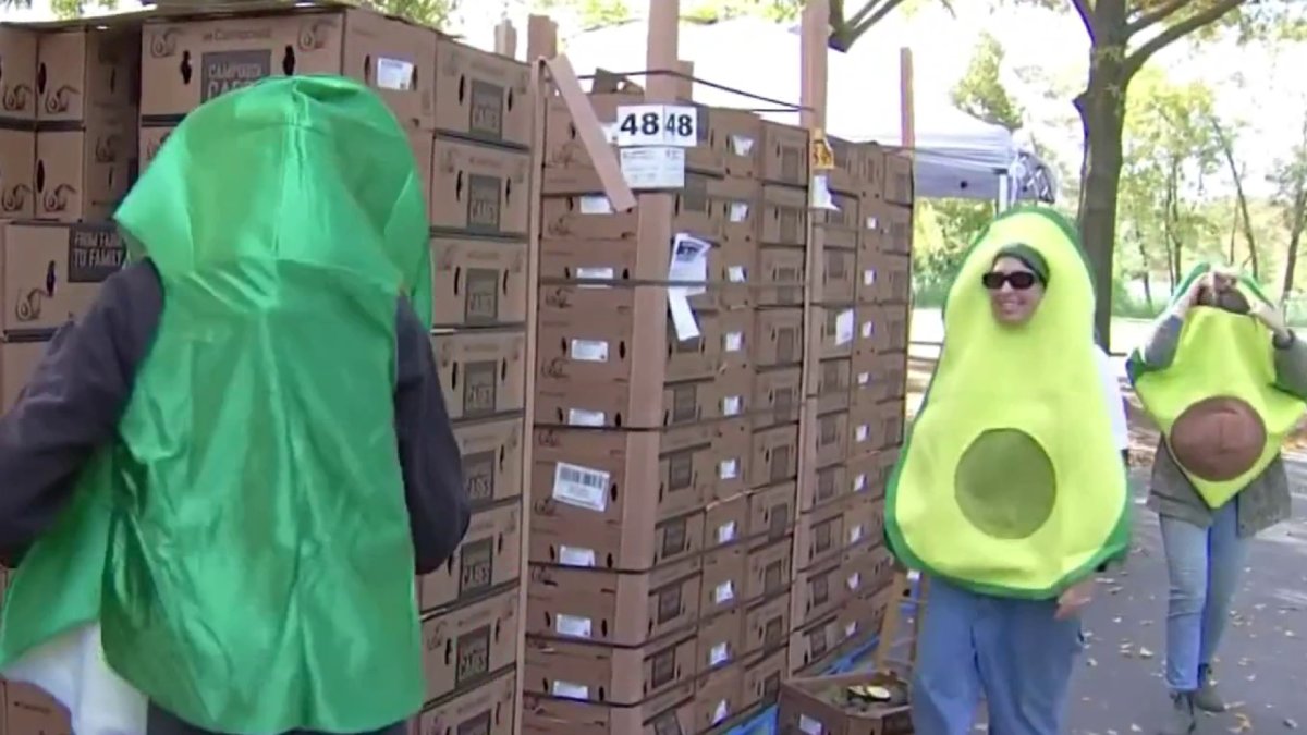 Thousands of Avocados Handed Out for Free by Philly Non-Profit – NBC10 ...