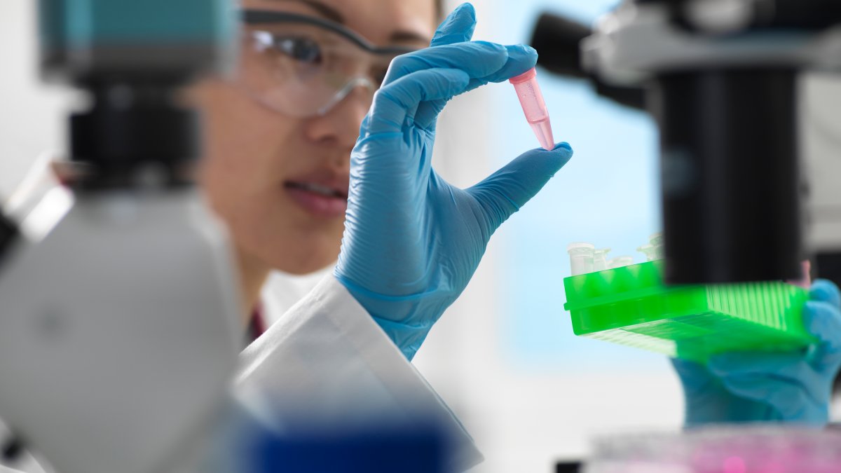 Everything You Need to Know About Genetic Genealogy – NBC10 Philadelphia