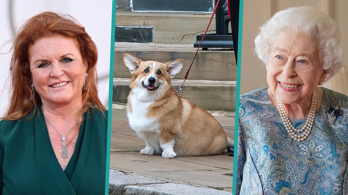 Sarah Ferguson Shares Update On Queen Elizabeth’s Corgis – NBC10 ...
