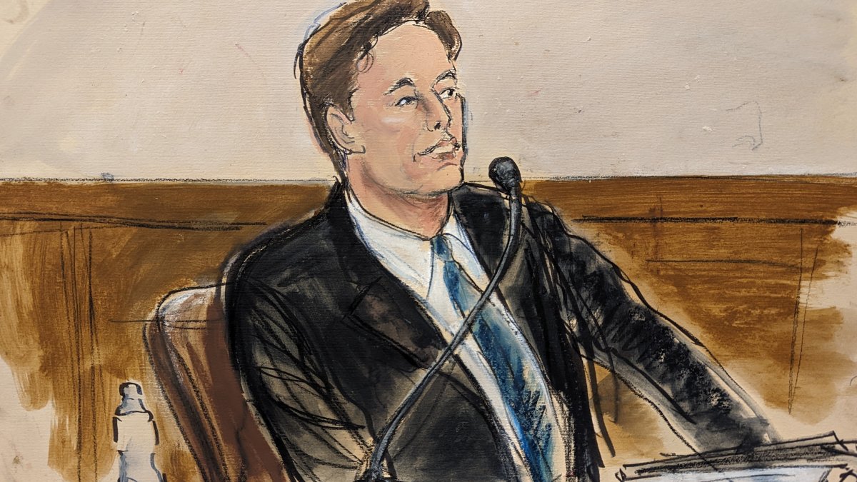 Elon Musk Testifies in Delaware in Suit Over Tesla Compensation Package ...