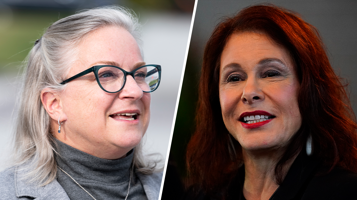 Pa. Election Results: Rep. Susan Wild Projected Winner vs. Lisa ...