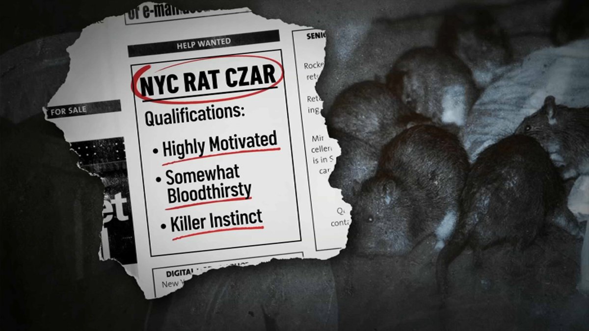 NYC Jobs: Rat Czar Position to Pay Six Figures – NBC10 Philadelphia
