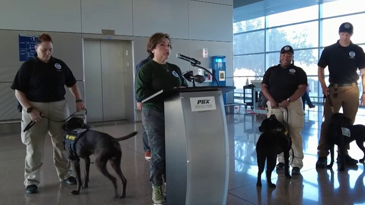 Super Bowl and AZ Officials Amplify Security at State Farm Stadium ...