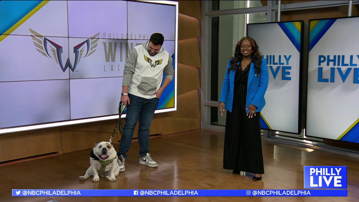 Philadelphia Wings Welcome Fans to Bring Their Dogs to ‘Bark in the ...
