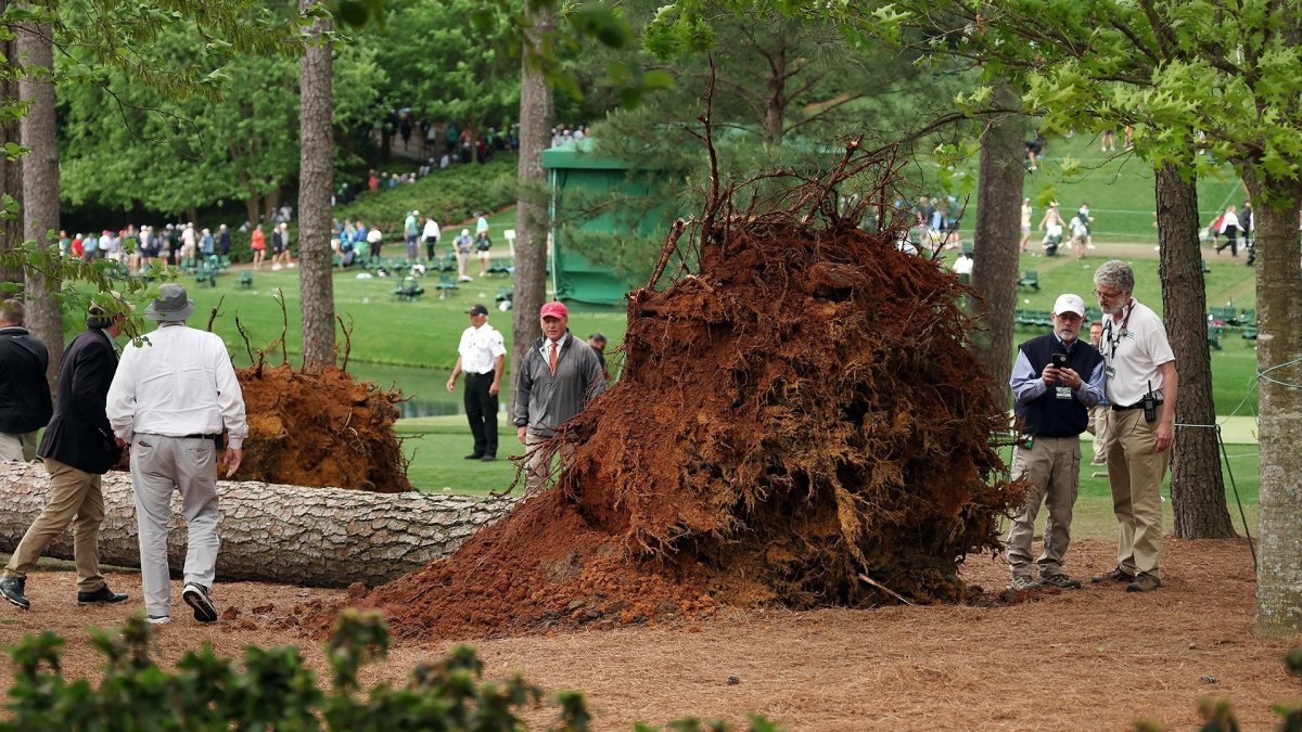 Trees Fall at Augusta National During 2023 Masters – NBC10 Philadelphia