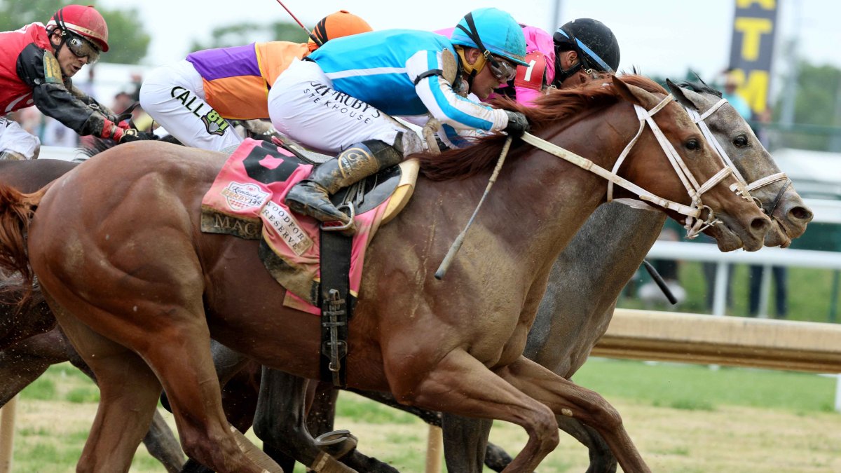 5 Things to Know About Mage, 2023 Kentucky Derby Winner – NBC10 ...