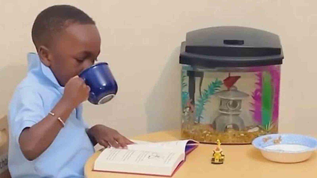 6-Year-Old Boy Goes Viral for Adorable Morning Routine – NBC10 Philadelphia