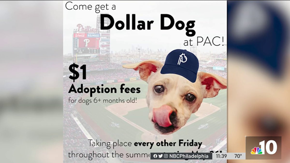 Dollar dog days aren’t just happening at the ballpark, an animal ...
