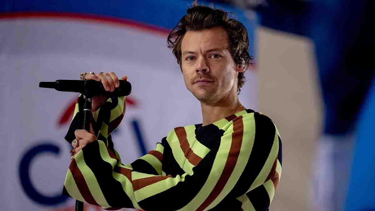 Harry Styles appears to become latest musician to be hit by an object ...