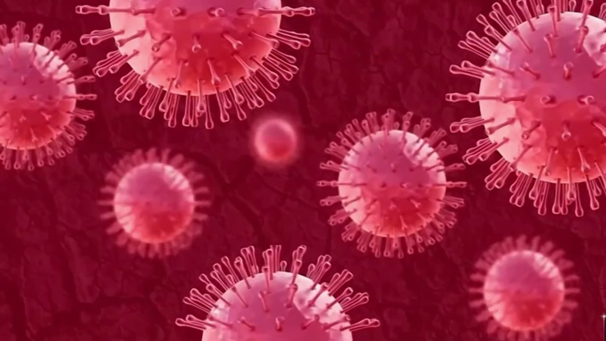 COVID cases on the rise since mid-July, CDC says – NBC10 Philadelphia