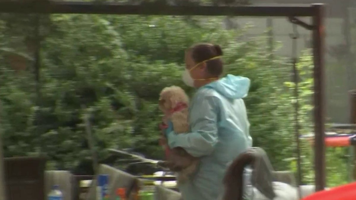 2 people charged after dozens of dead dogs were found at NJ home ...