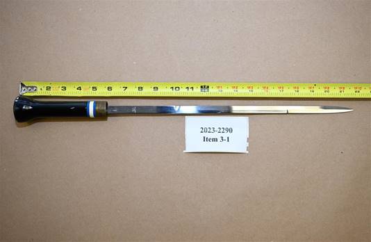 Woman sentenced for murder of man killed with sword hidden in cane ...