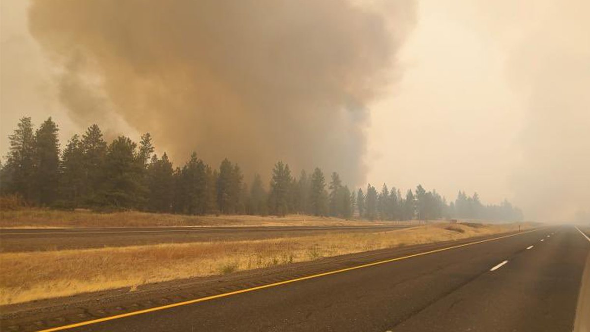 2 dead in Washington state wildfires – NBC10 Philadelphia